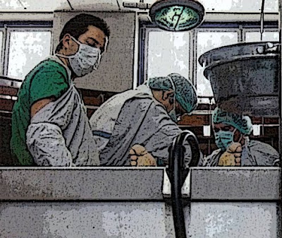 O Último Cais: Qual a importância da Medicina Legal?